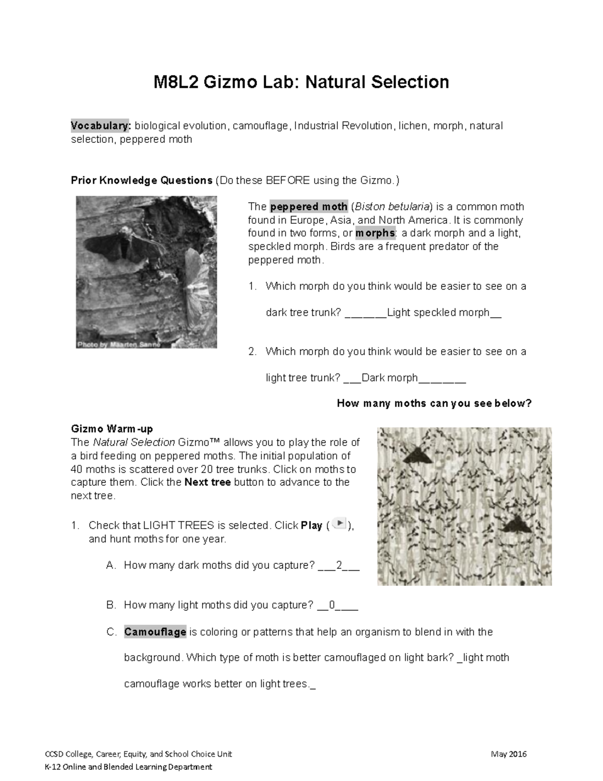 M8L2 Gizmo Lab Natural Selection - M8L2 Gizmo Lab: Natural Selection ...