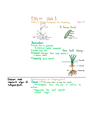 Module 3) CSS 201 - Soils Primer - 55201 Unit 3 Soils Primer What is ...