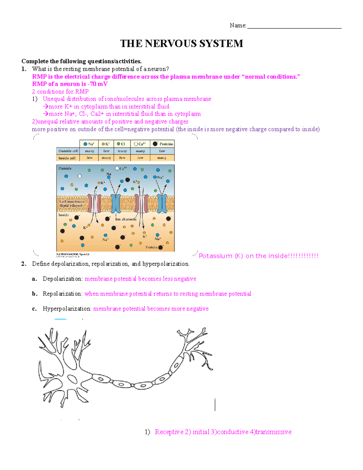 HSCI 101 Off Lab Assignment 4 Fall 2023 - THE NERVOUS SYSTEM Complete ...