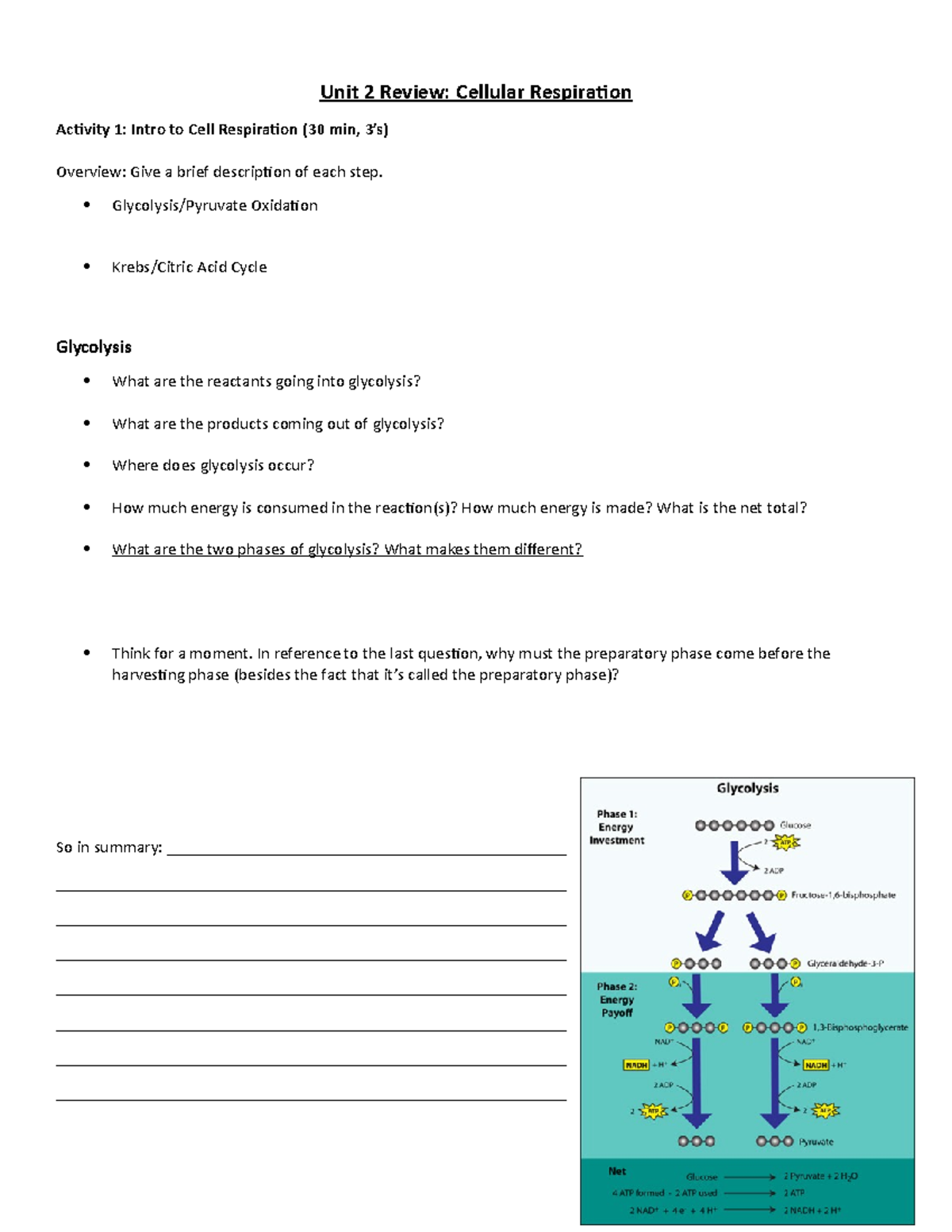SI Session 8- Respiration - Unit 2 Review: Cellular Respiraion Acivity ...