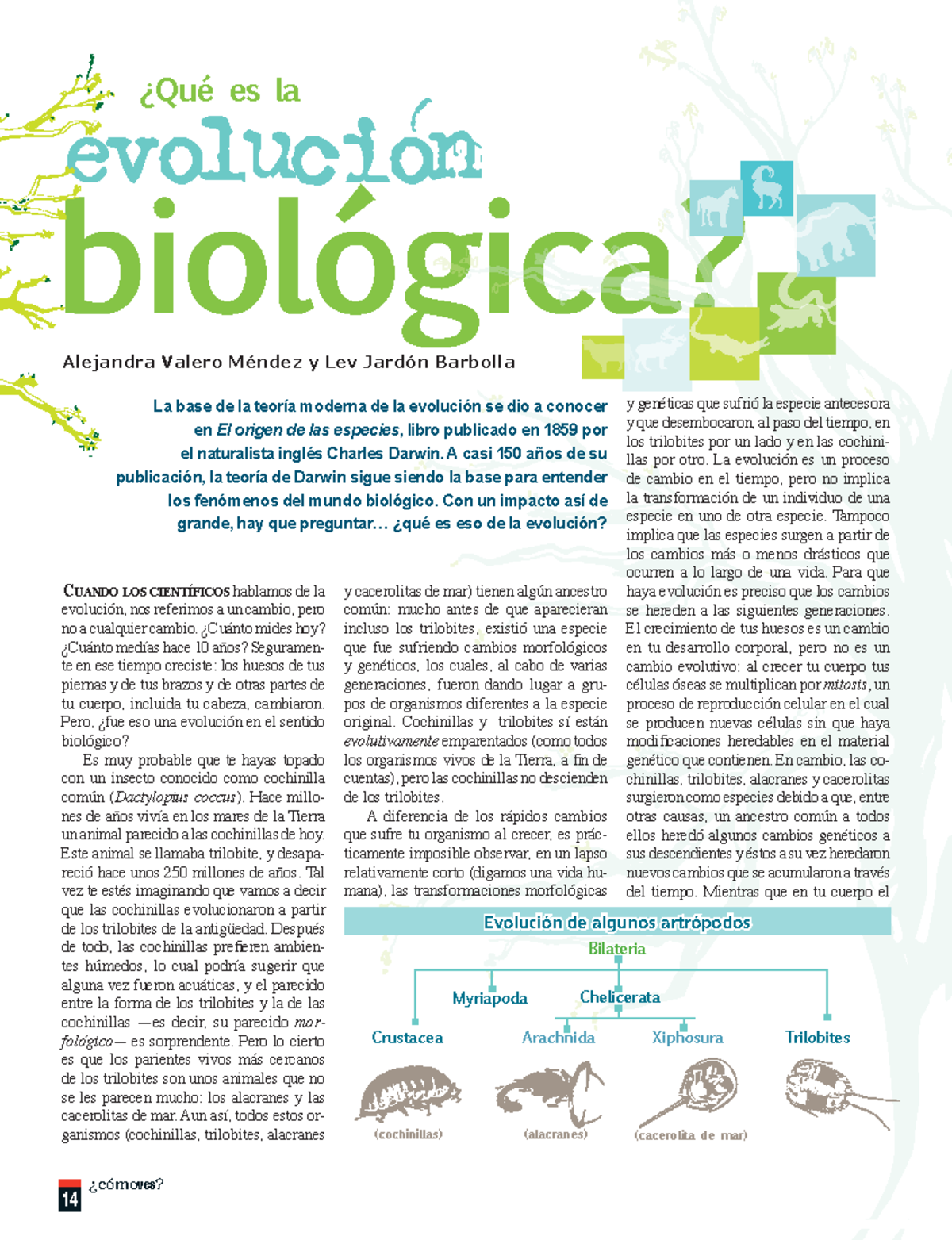 Evolución BiológicaEvolución biologicaEvolución biologica - ¿cómoves ...