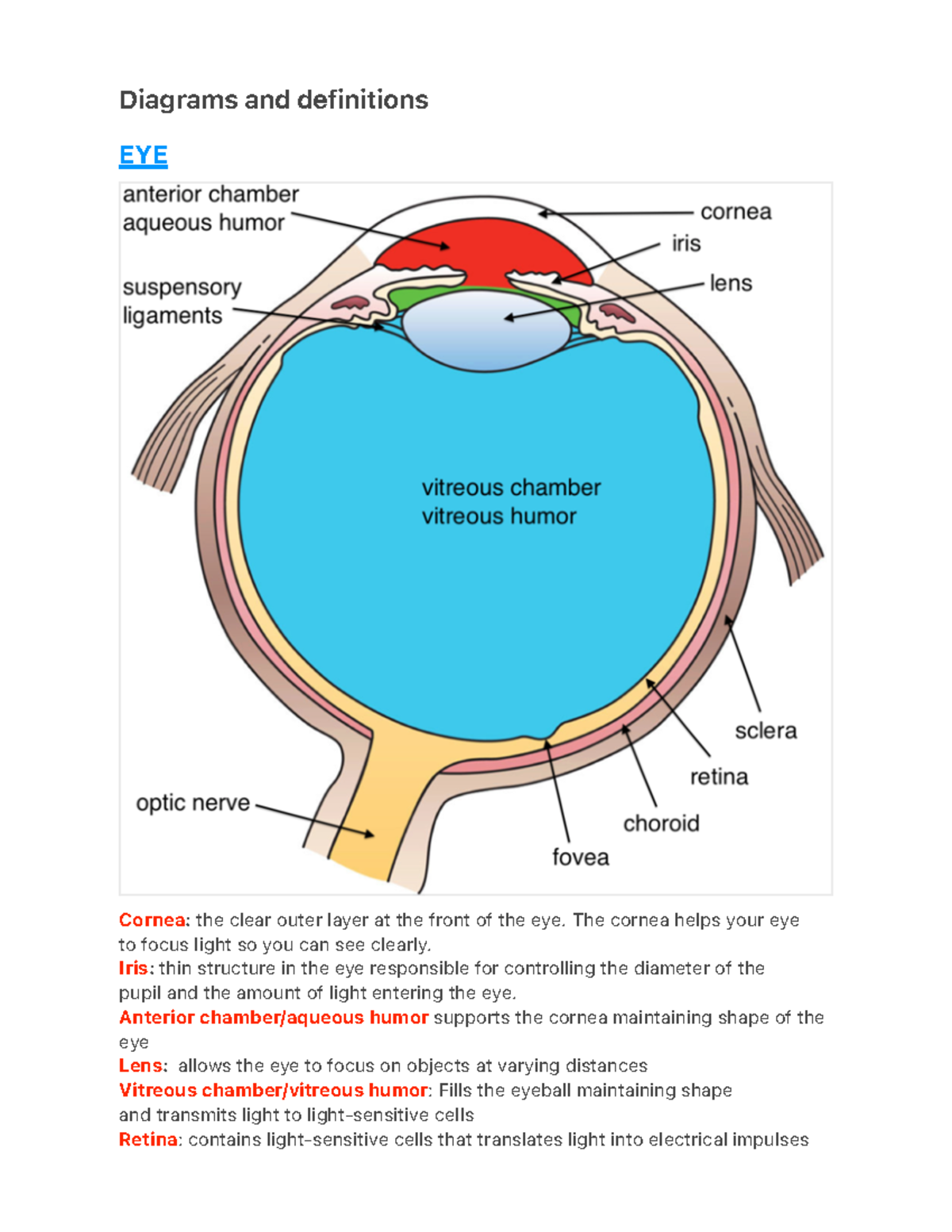 Diagrams and definitions - Diagrams and definitions EYE Cornea: the ...