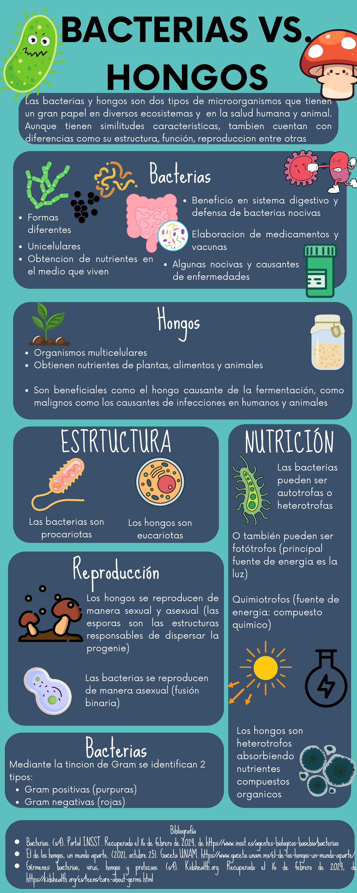 Infografia de aprendizaje - Las bacterias son procariotas ESTRTUCTURA ...