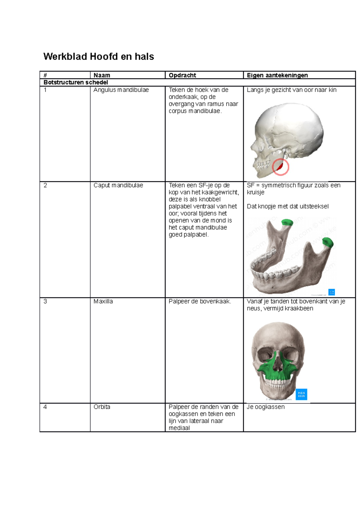 Werkblad 1 Hoofd en hals - Langs je gezicht van oor naar kin 2 Teken ...