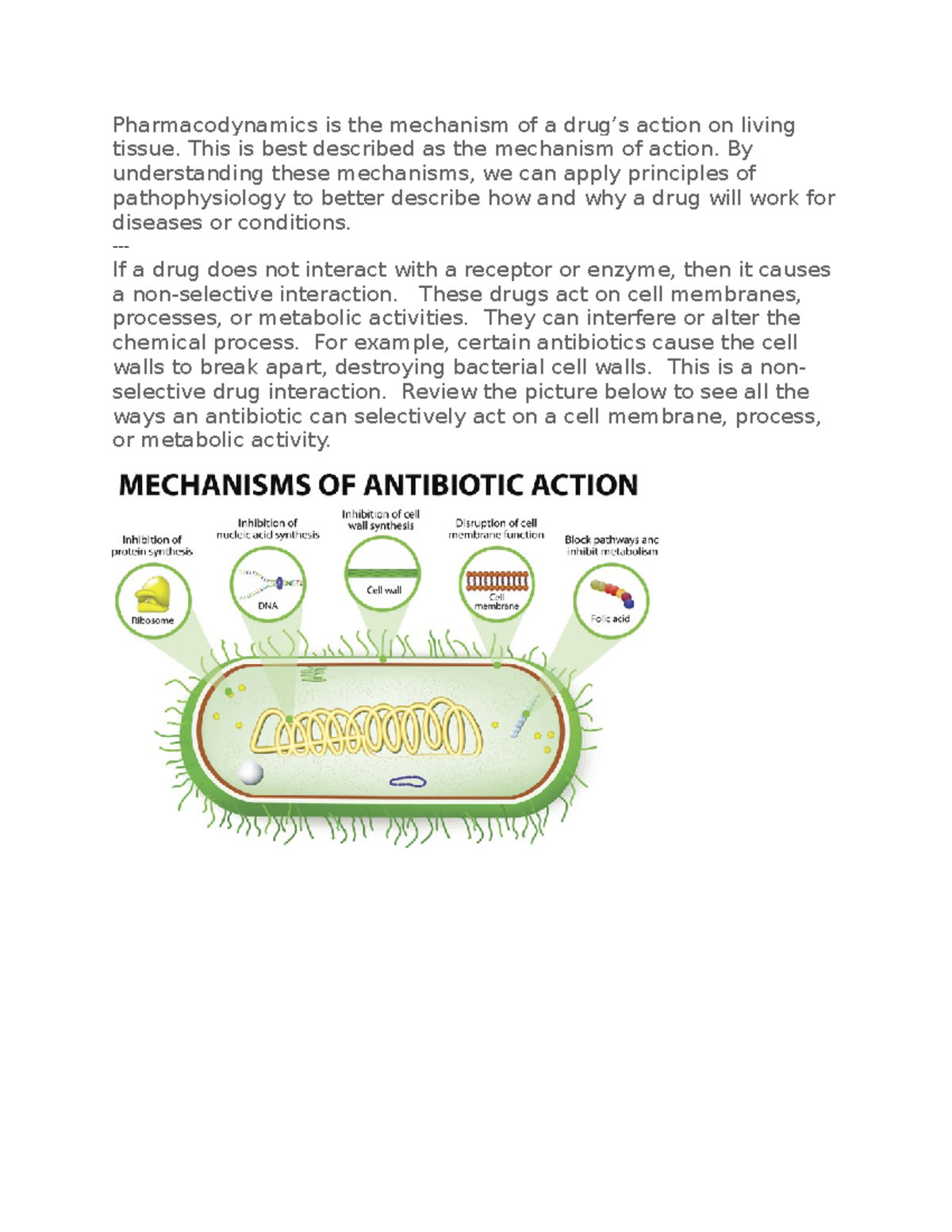 WEEK 1 Edapt - Pharmacodynamics is the mechanism of a drug’s action on ...