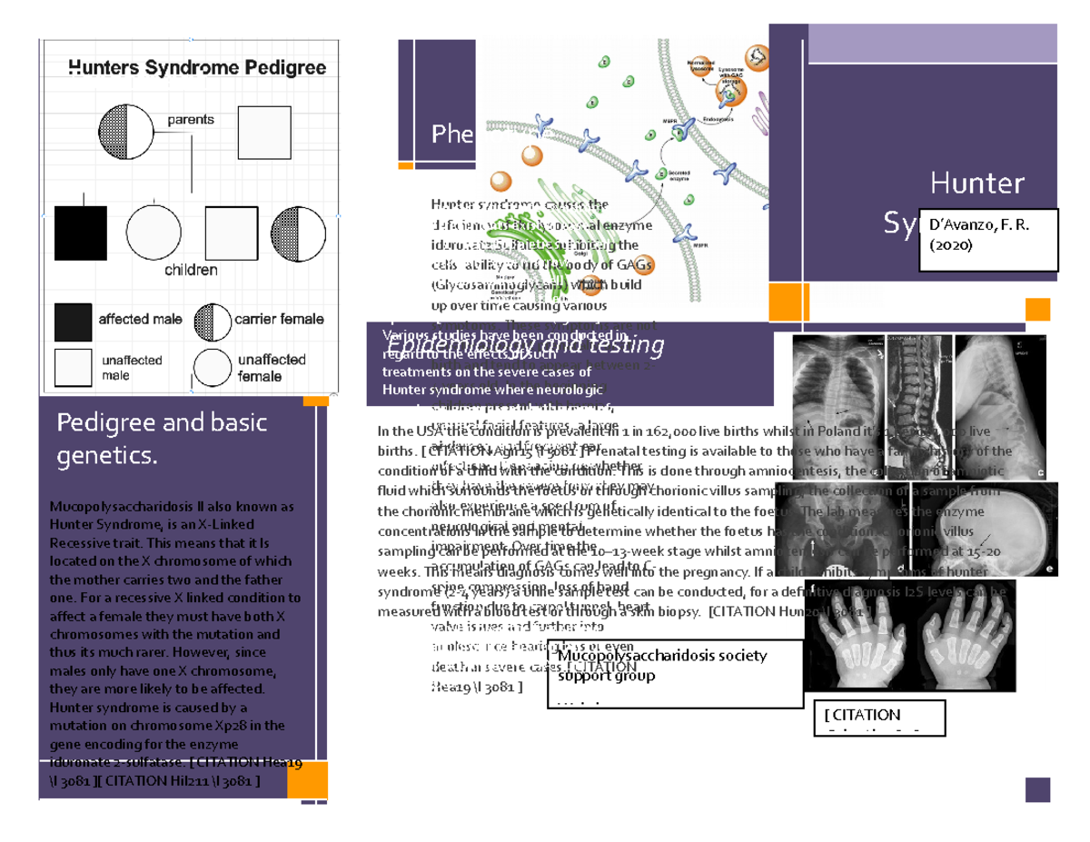 GIM brochure - Mucopolysaccharidosis II also known as Hunter Syndrome ...