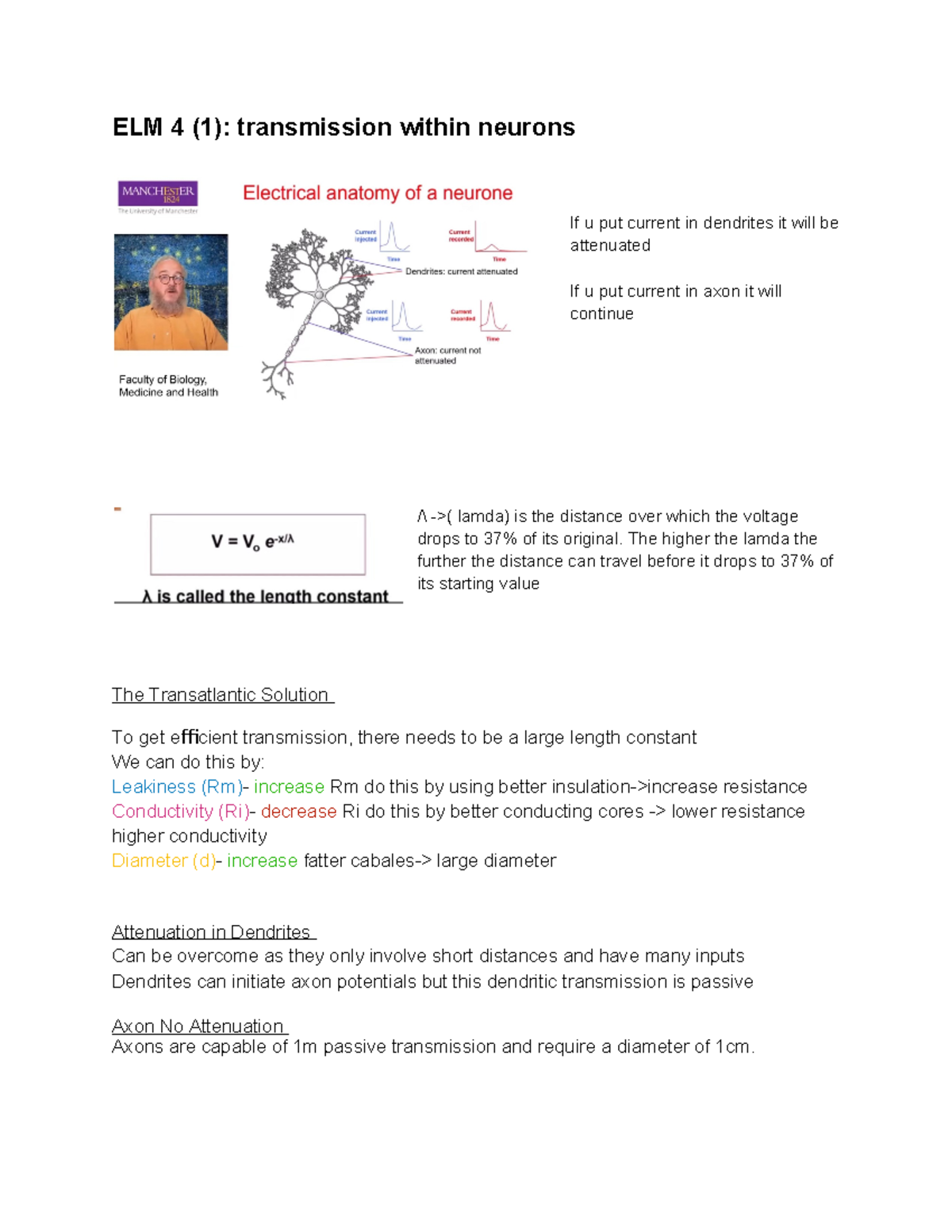 Excitable cells - ELM 4 (1): transmission within neurons If u put ...