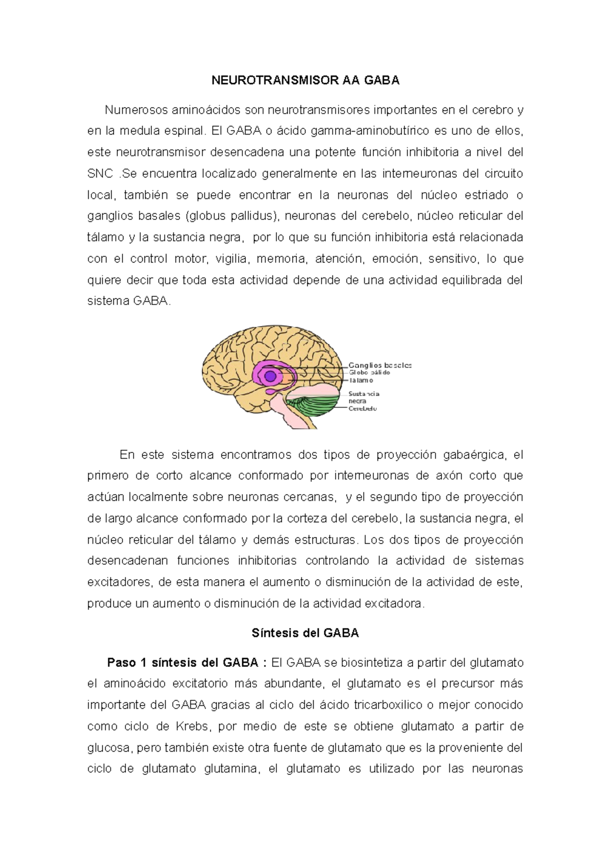 GABA Y Glicina - Resumen Morfofisiología - NEUROTRANSMISOR AA GABA Numerosos aminoácidos son ...