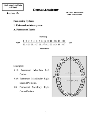 Dental anatomy 2 - Physiologic form of the teeth: Contact areas: Are ...