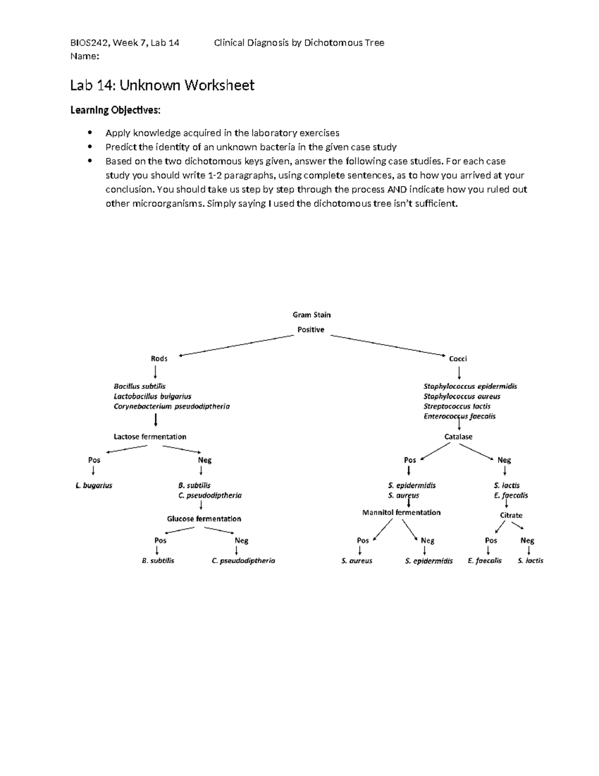 BIOS242 Week 7 Lab 14 Unknown Bacteria%2C+Clinical+Diagnosis+by ...