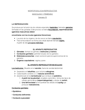 Informe N° 9 DE Terbutilo - PRÁCTICA N° 9 SINTESIS DE CLORURO DE ...