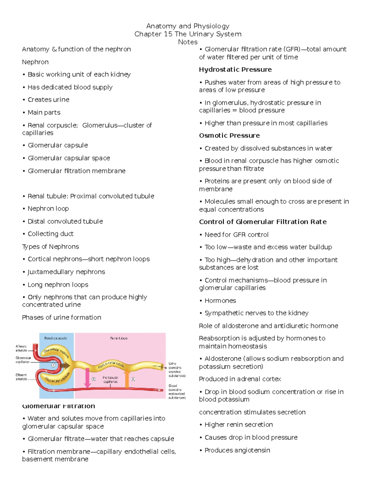 Phar103 Chapter 15 Notes - Anatomy and Physiology Chapter 15 The ...