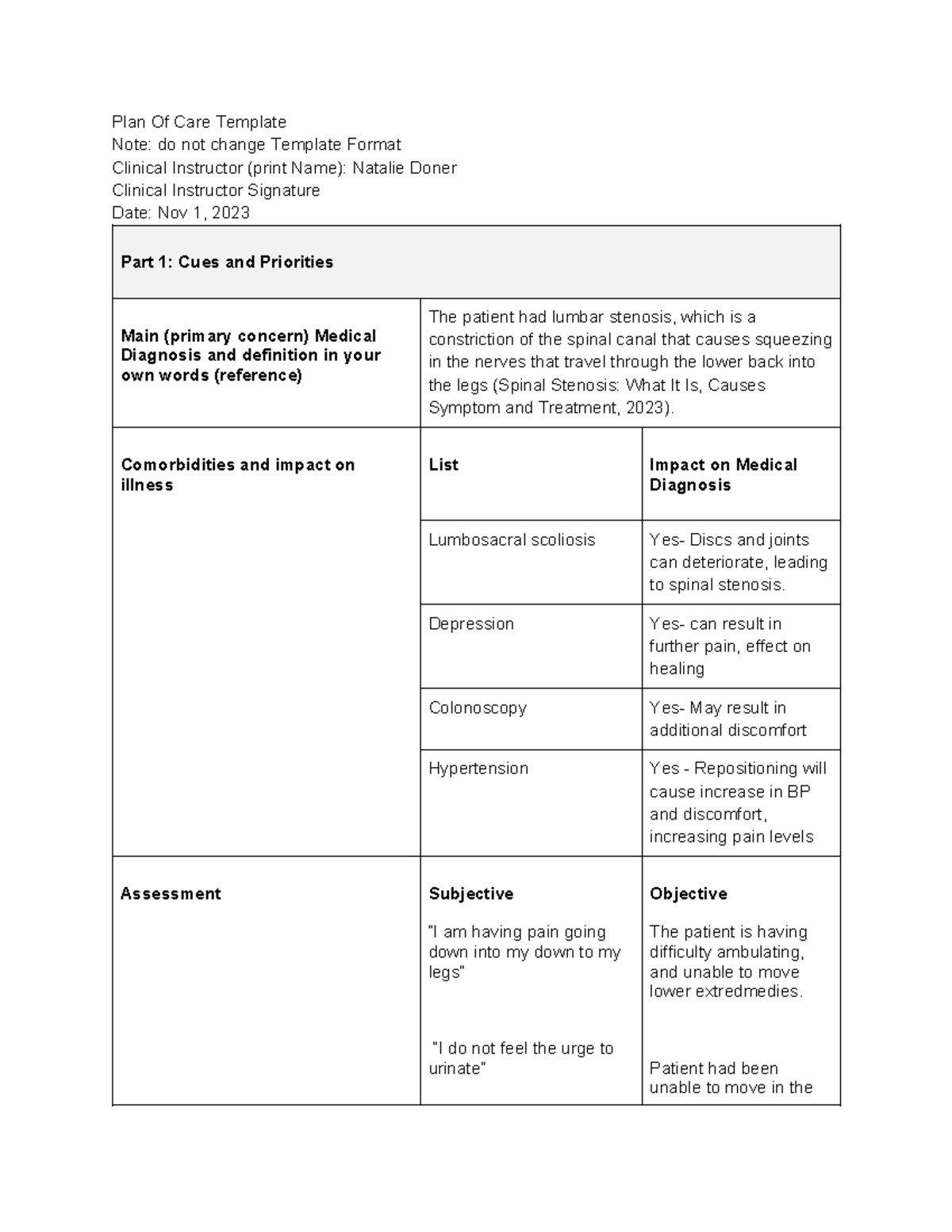 2 Plan Of Care Template - Plan Of Care Template Note: do not change ...