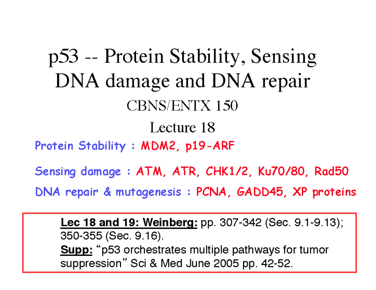 L18 CB14 - Dr. Sladek - p53 - Protein Stability, Sensing DNA damage and ...