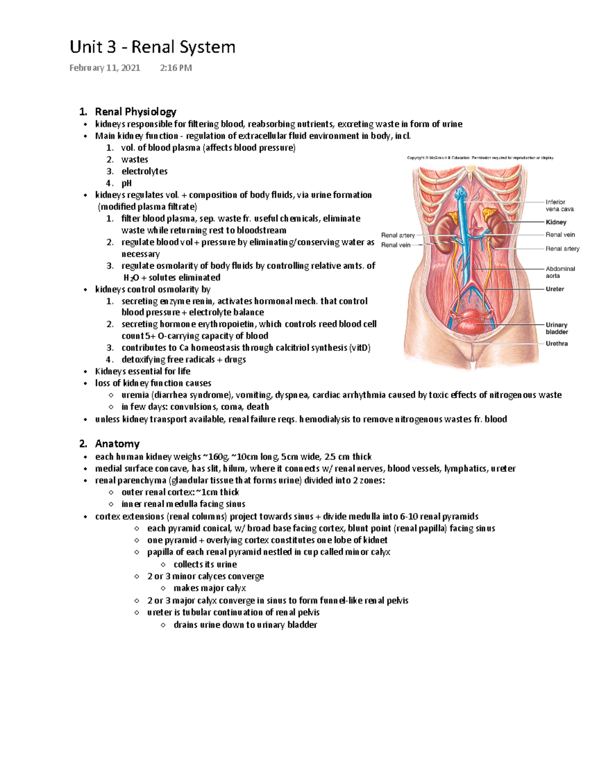 Biom 3200 Note Unit-3 Renal System - 1. Renal Physiology kidneys ...