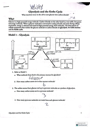 Unit 1 Review Answer Key - AP Precalculus - Calc Medic - Circuit ...