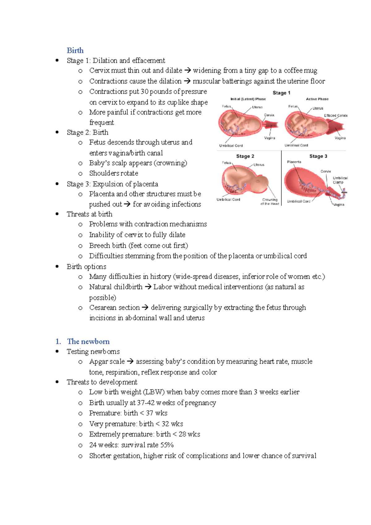 Birth - Lecture notes Lectures Notes - Birth Stage 1: Dilation and ...