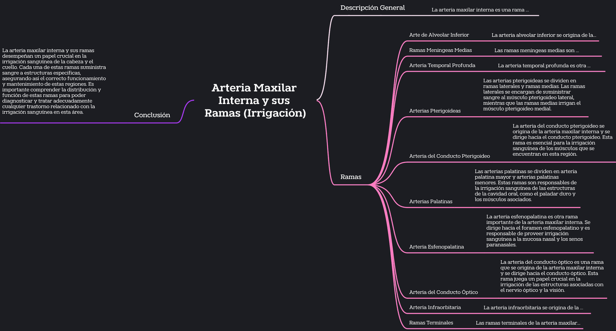 Arteria Maxilar Interna y sus Ramas (Irrigación) - Arteria Maxilar ...