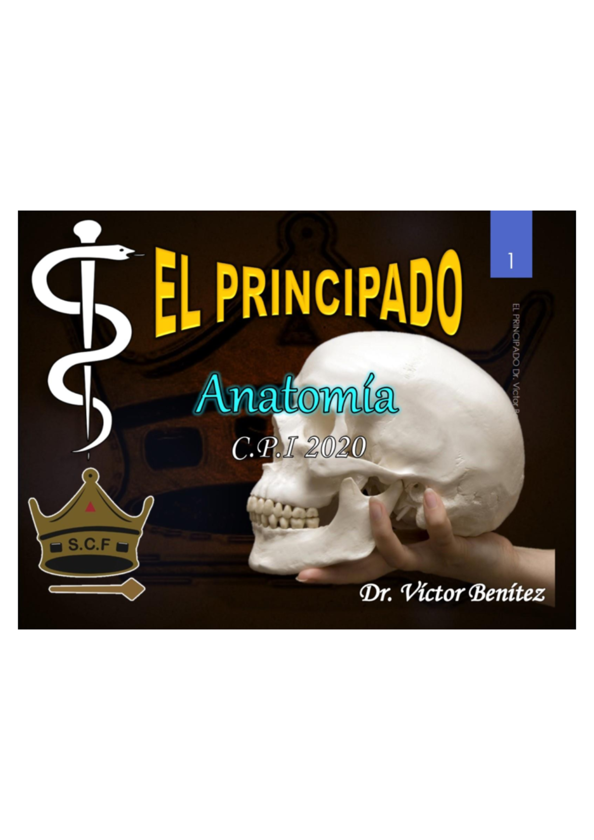 Https doc 08 8k prod 03 apps viewer - 1 S EL PRINCIPADO S Anatomia C.P 2020 S.C Dr. Victor ...