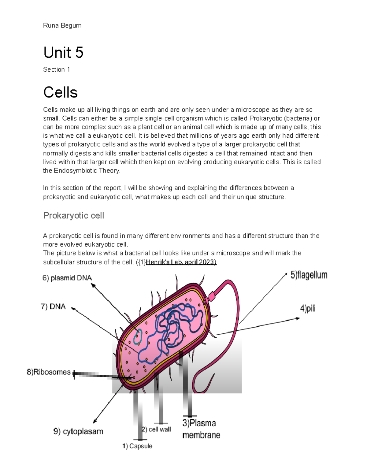 Unit 5 - Achieved - Unit 5 Section 1 Cells Cells make up all living ...