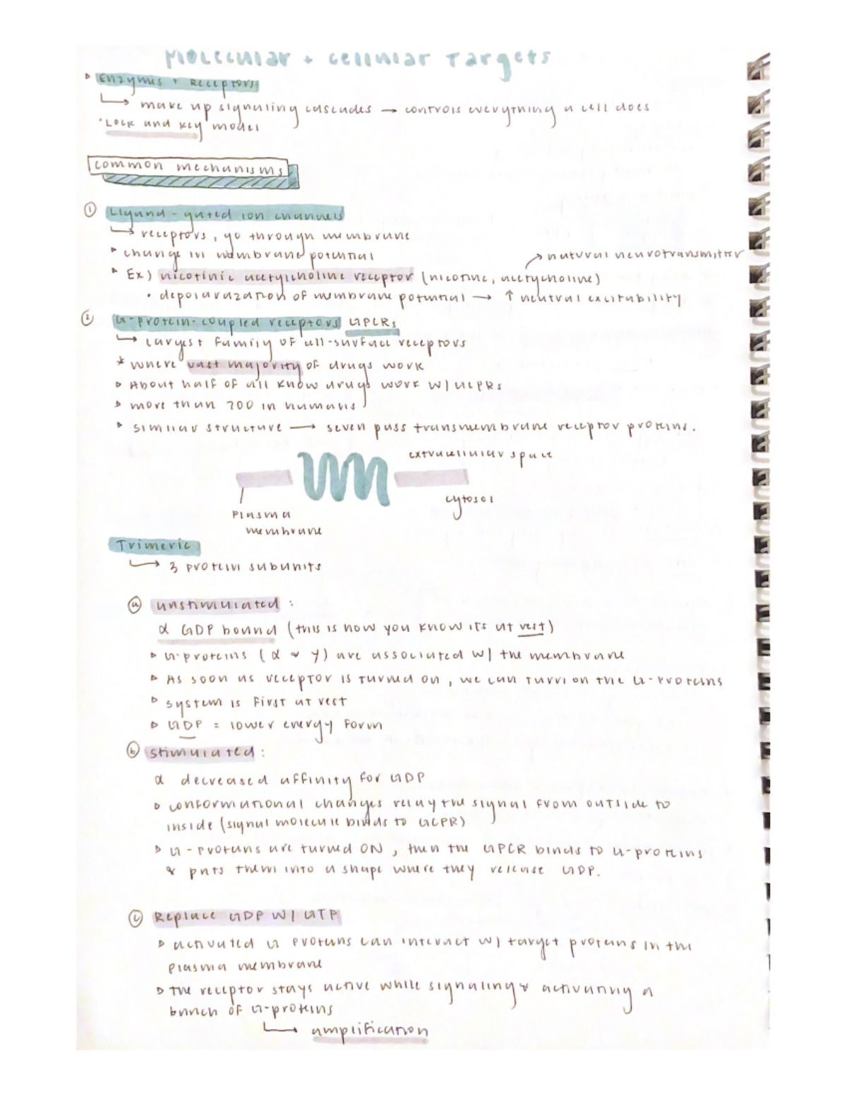 Bio of drugs lecture 3 - Molecular cellniar Targets Enzymus Receptors ...