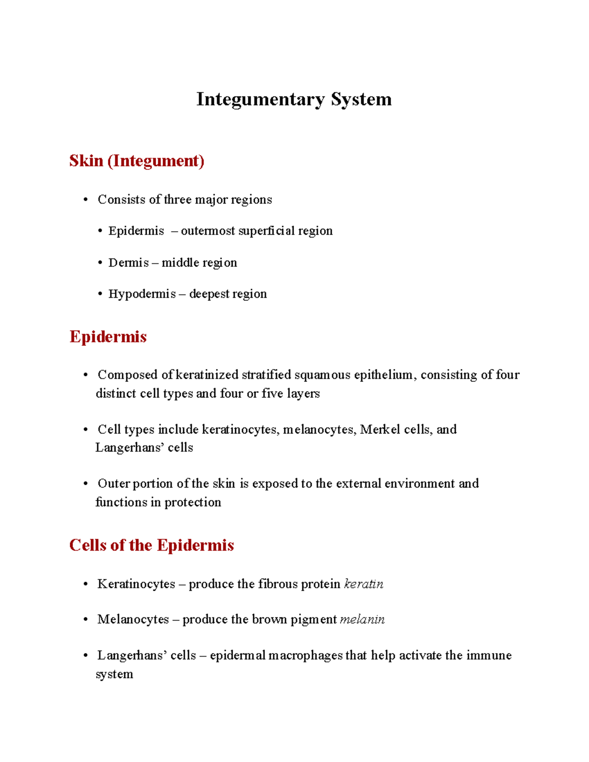 Integumentary System - Integumentary System Skin (Integument) Consists ...