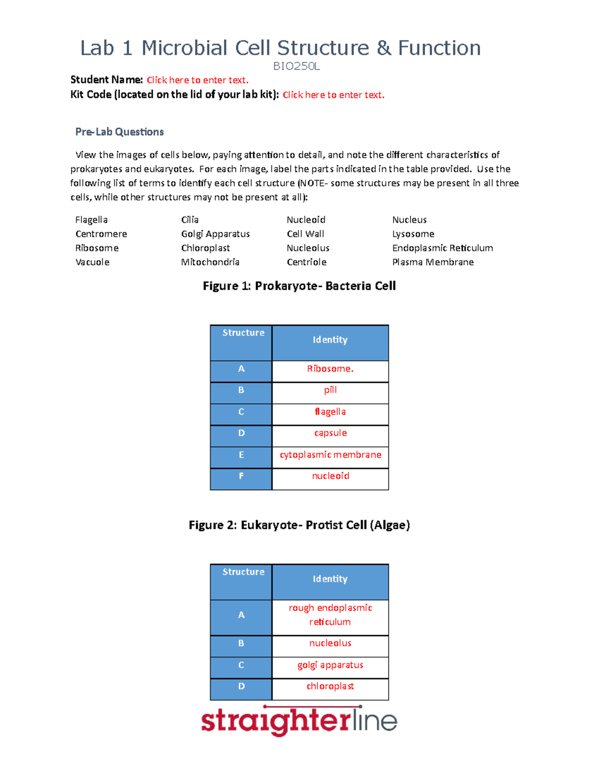 Cell structure and function lab 1 bio250 l - BIO250L” Student Name ...