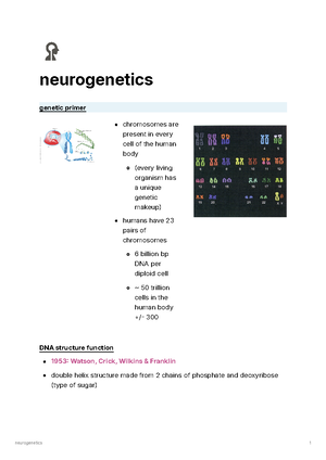 Neurodevelopment II - neurodevelopment II stages of brain development ...