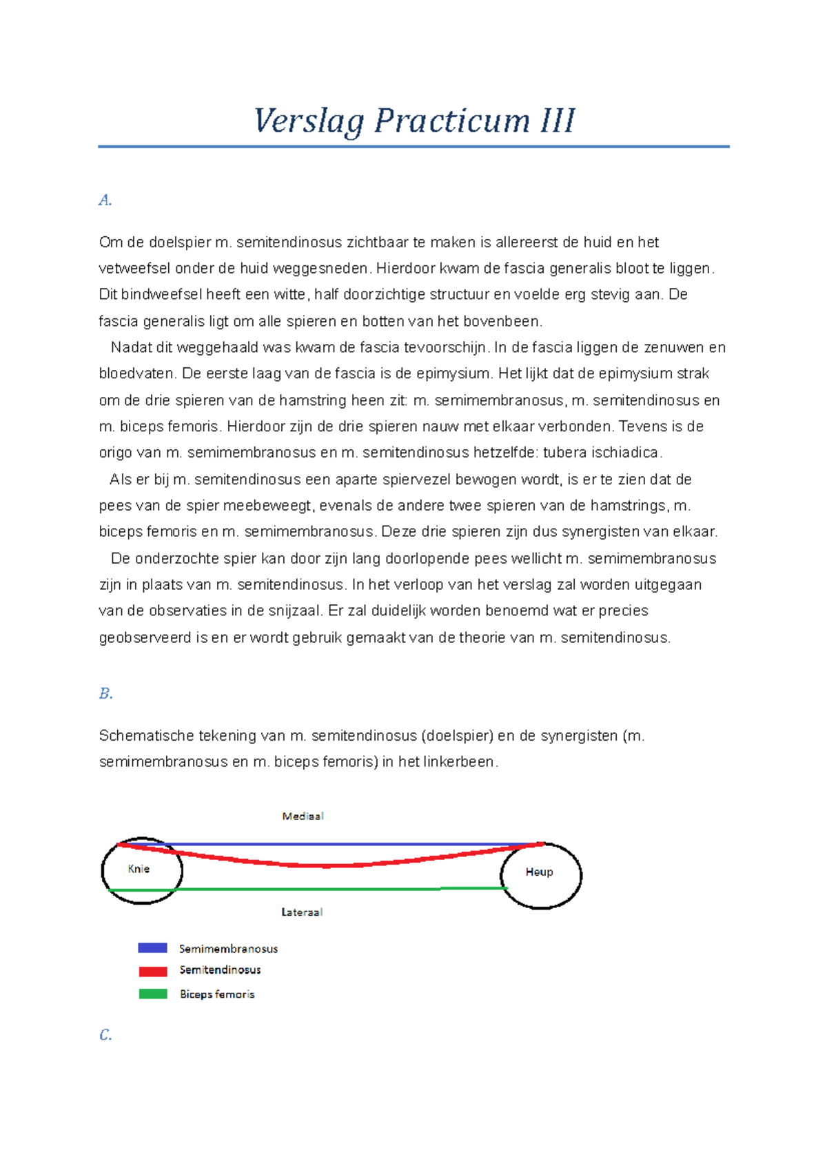 Verslag Practicum III cijfer 6,4 - Verslag Practicum III A. Om de ...