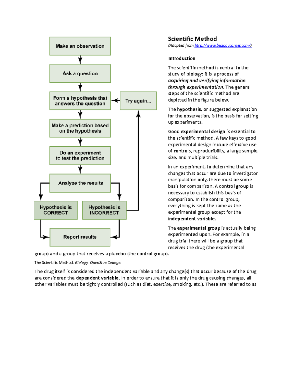 Lab 1 Scientific Method - Scientific Method (Adapted from biologycorner ...