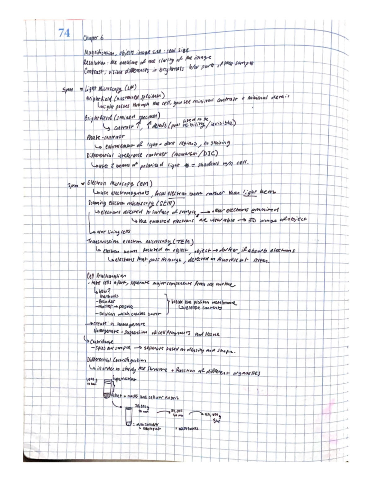 Chapter 6,7, chapter 4 lab - BIO100 - Studocu