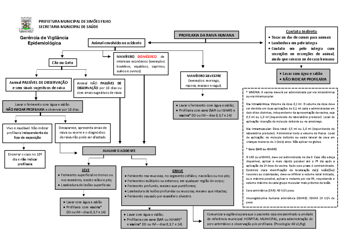 Fluxo - Profilaxia Raiva Humana - Desaparece, apresenta sinais de raiva ...