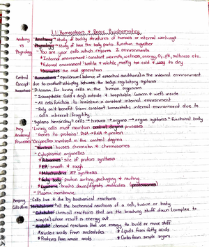 Ap 4 - James haugen - BIO 246 - Studocu