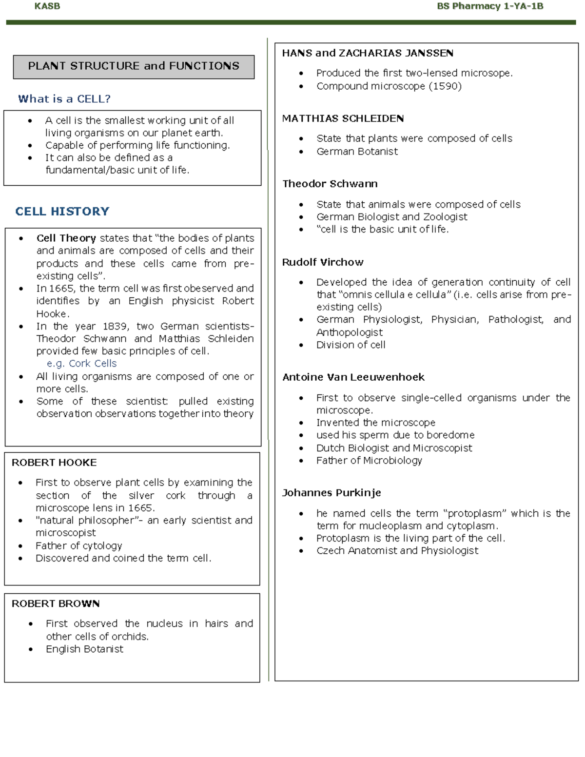 Pbot111 - Plant structure nd functions - KASB BS Pharmacy 1-YA-1B PLANT STRUCTURE and FUNCTIONS ...