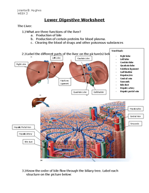 AP 4 Week 3 Lab Sheep Pluck Dissection - AP 4 Week 3 Lab: Sheep Pluck ...