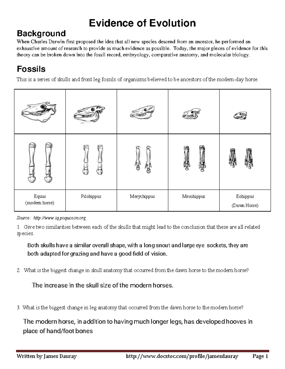 Jehan Lipscomb - Evidence of Evolution Worksheets - Written by James ...