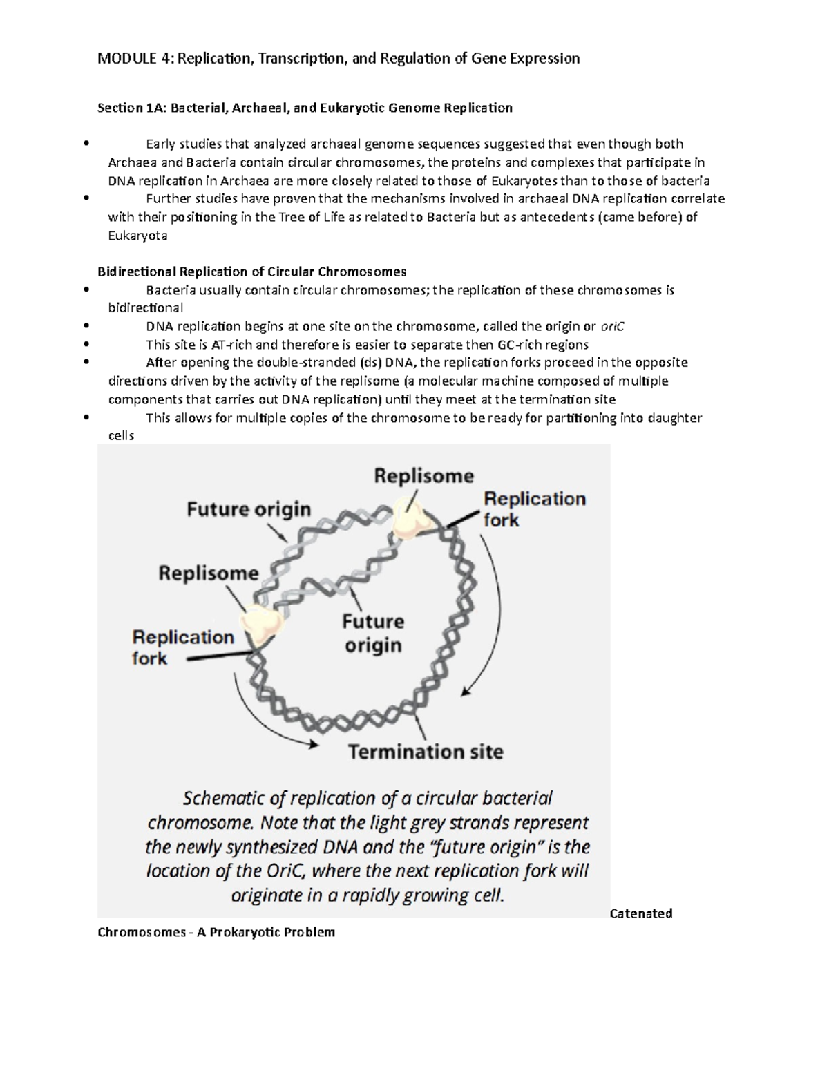 MICR 271 Module 4 - ONLINE - Section 1A: Bacterial, Archaeal, and ...