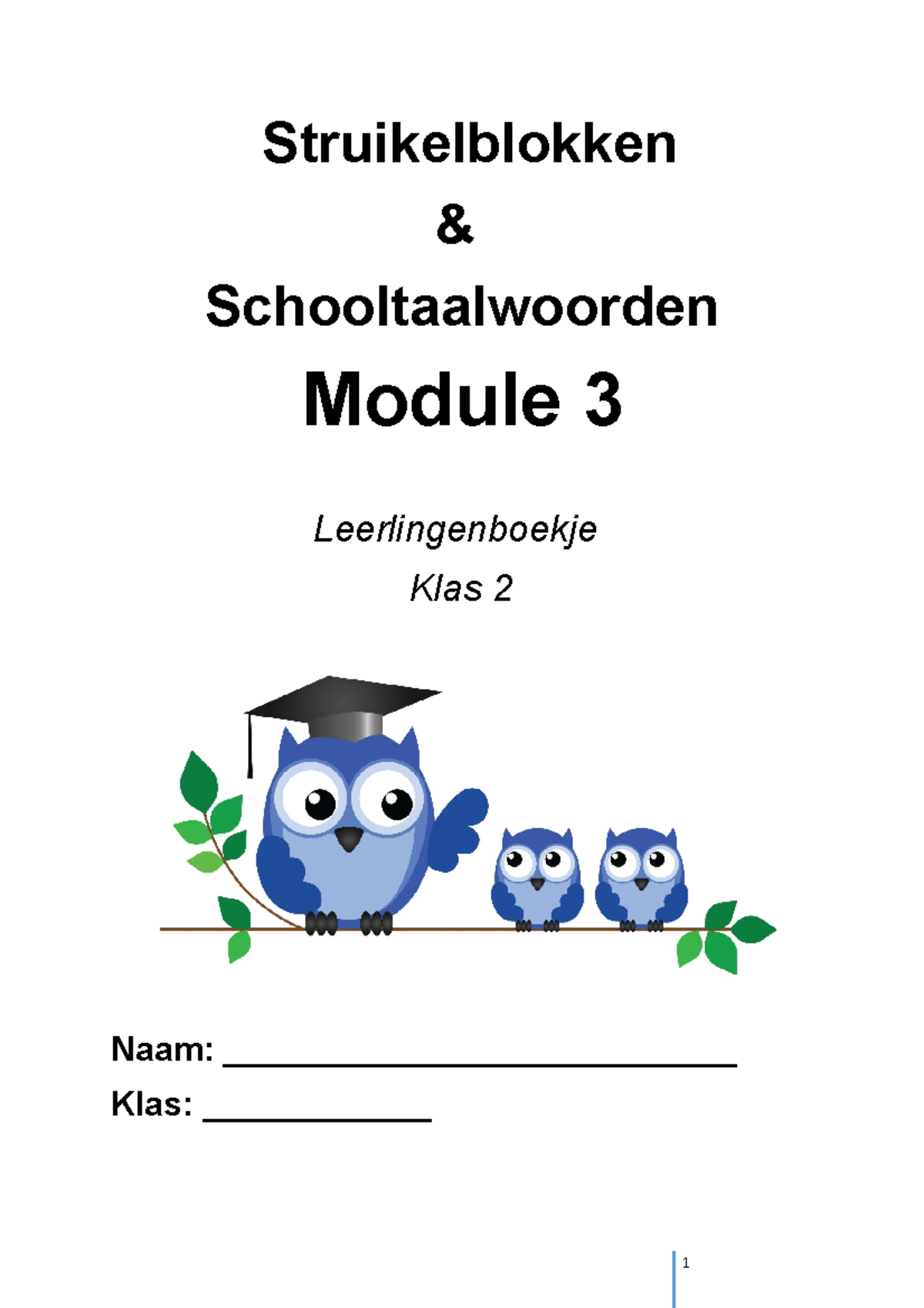 Llnboekje schooltaalwoorden 2e klas module 3 - Struikelblokken ...