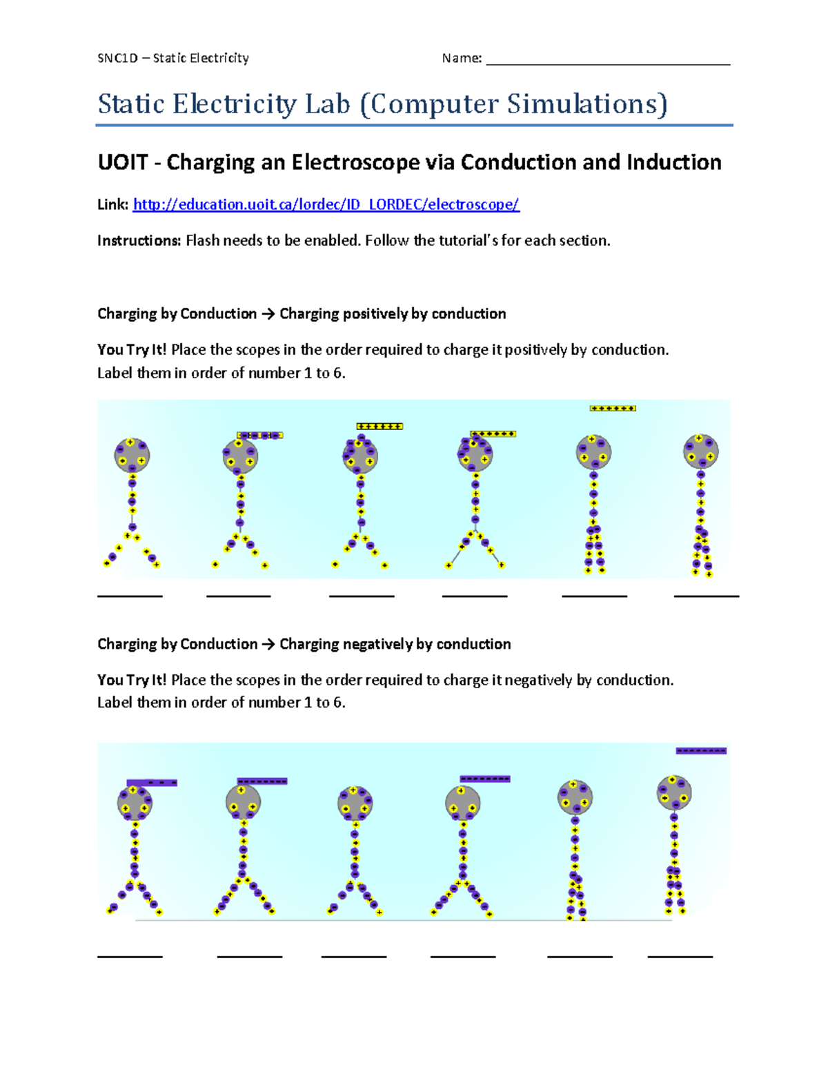 Static electricity lab computer simulations - Static Electricity Lab ...
