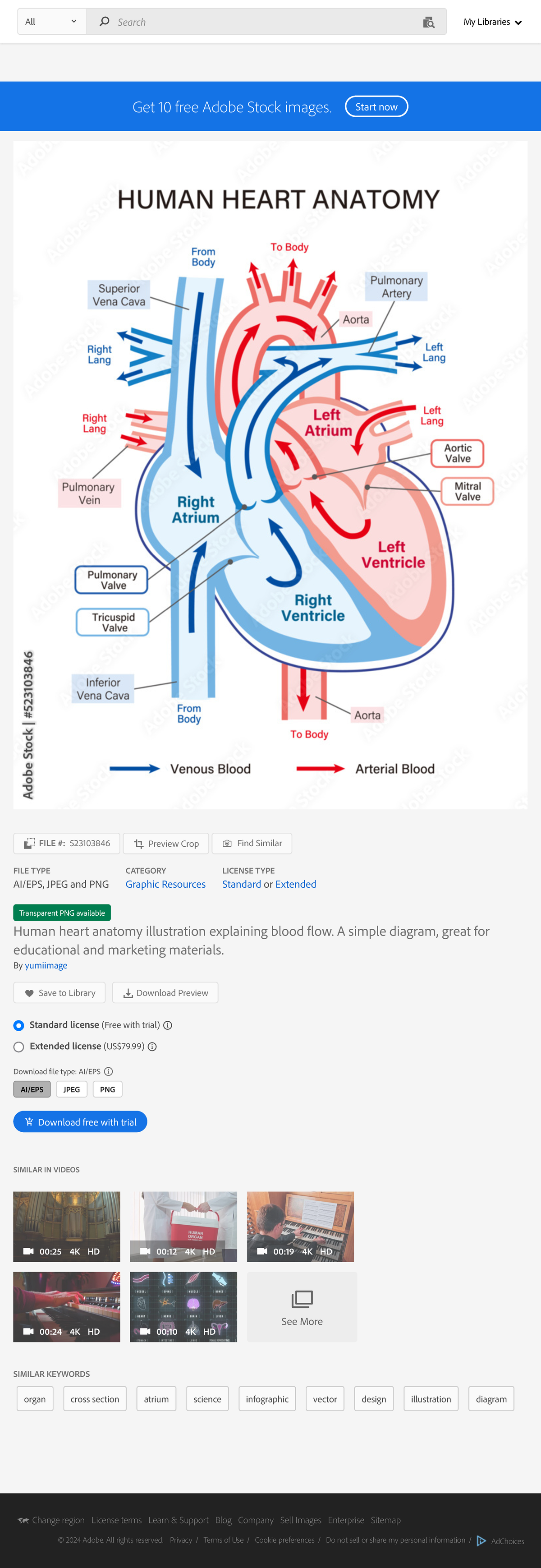 Human heart anatomy illustration explaining blood flow. A simple ...