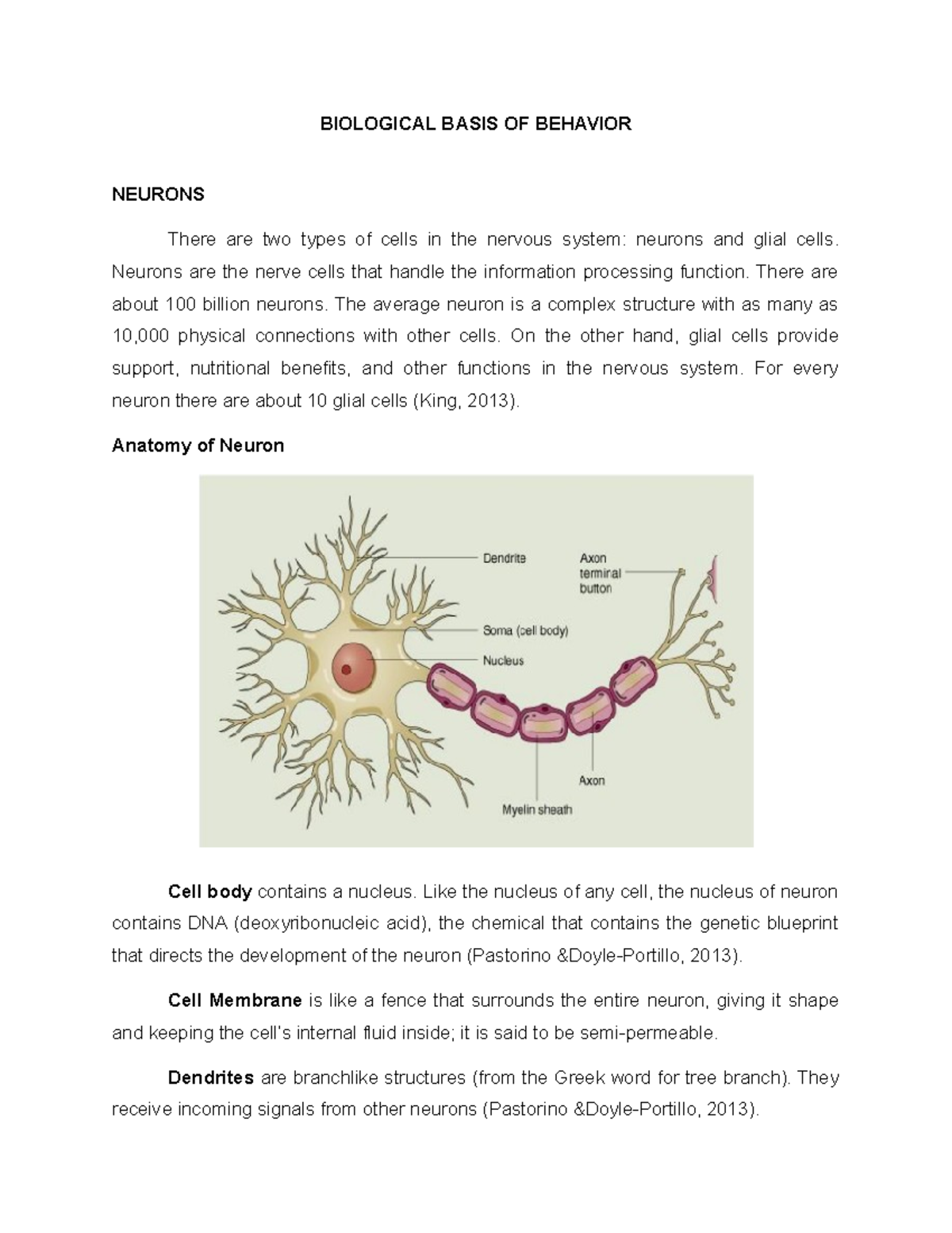Lecture Notes - General Psychology [ Biological Basis OF Behavior ...
