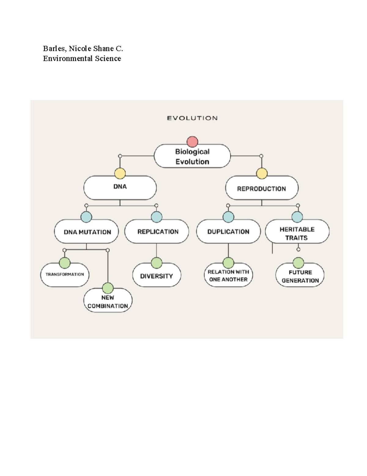 Environmental Science (chart) copy - Conceptual Framework and ...