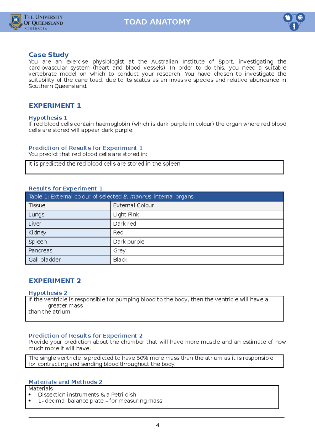 Toad Anatomy Report BIOM1050 - Case Study You are an exercise ...