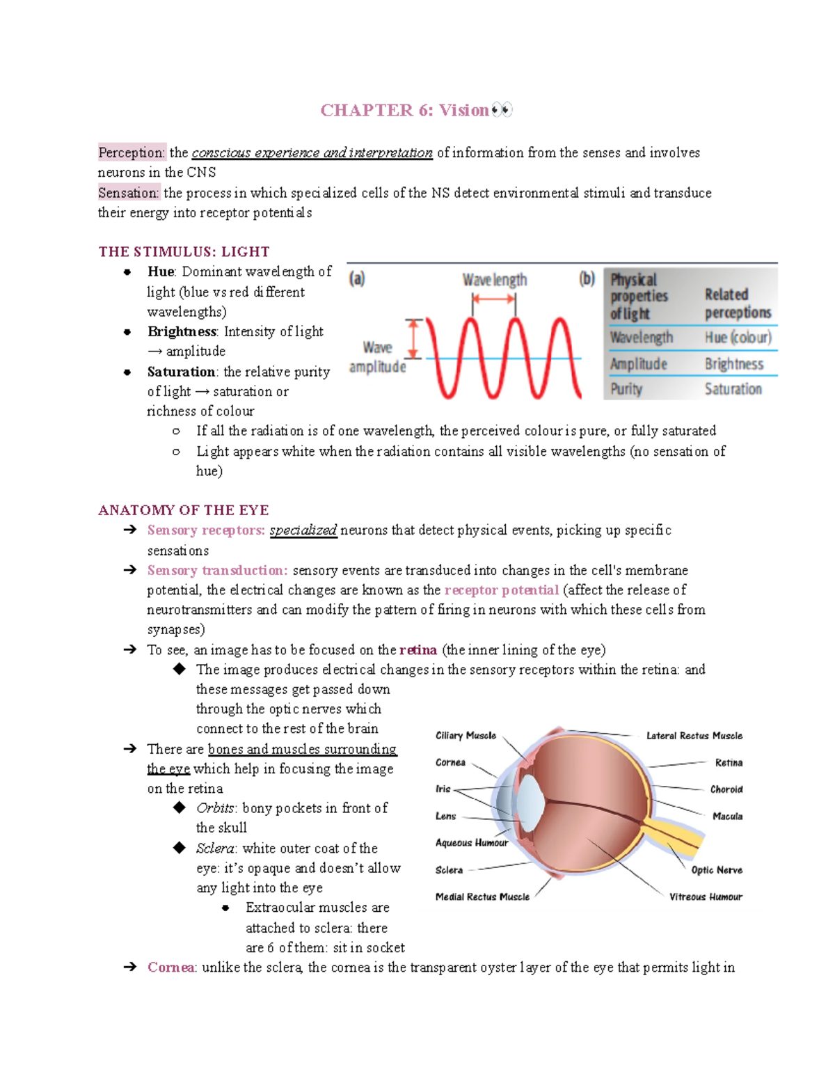 PSYC 211 Chapter 6 Vision - CHAPTER 6: Vision. Perception: the ...