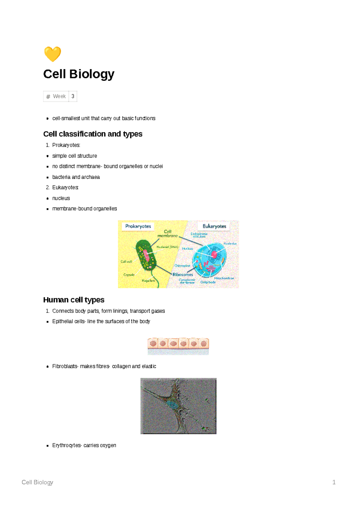 Cell Biology - Cell Biology Week 3 cell-smallest unit that carry out ...