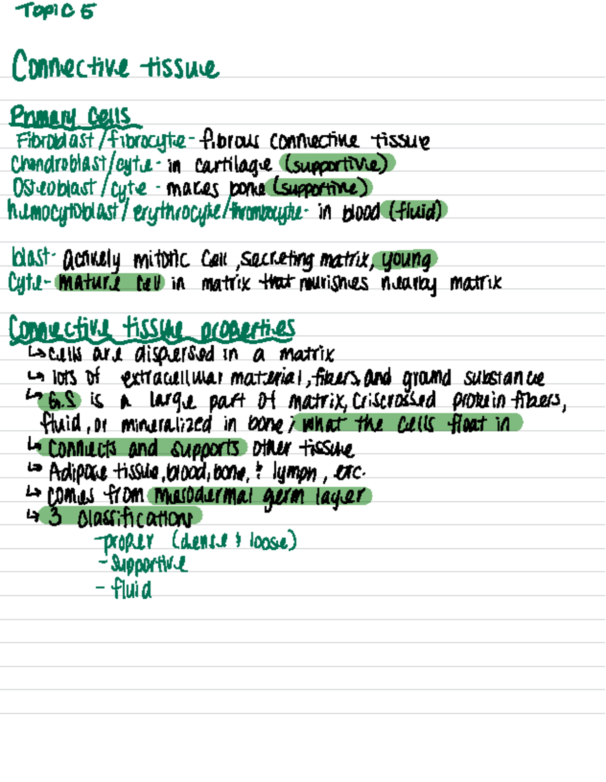 Anatomy 11 - connective tissue topic 5 - To p i c 5 Connective tissue ...