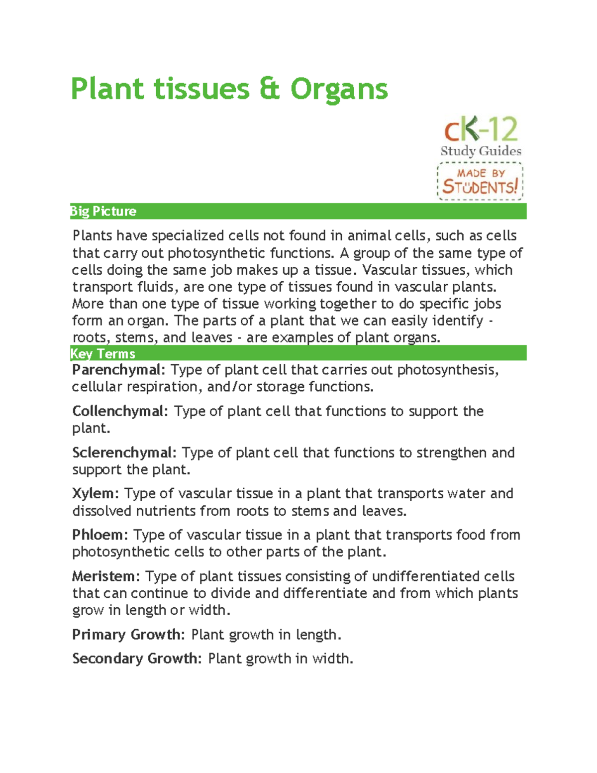 Biology study guide part 1 - Plant tissues & Organs Big Picture Plants have specialized cells ...