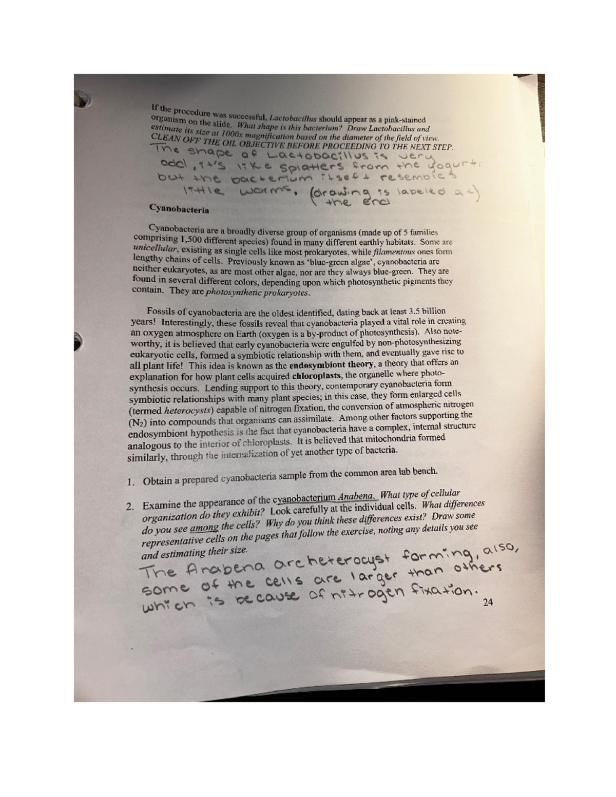 Notebook #3 - BSC2010L - Studocu