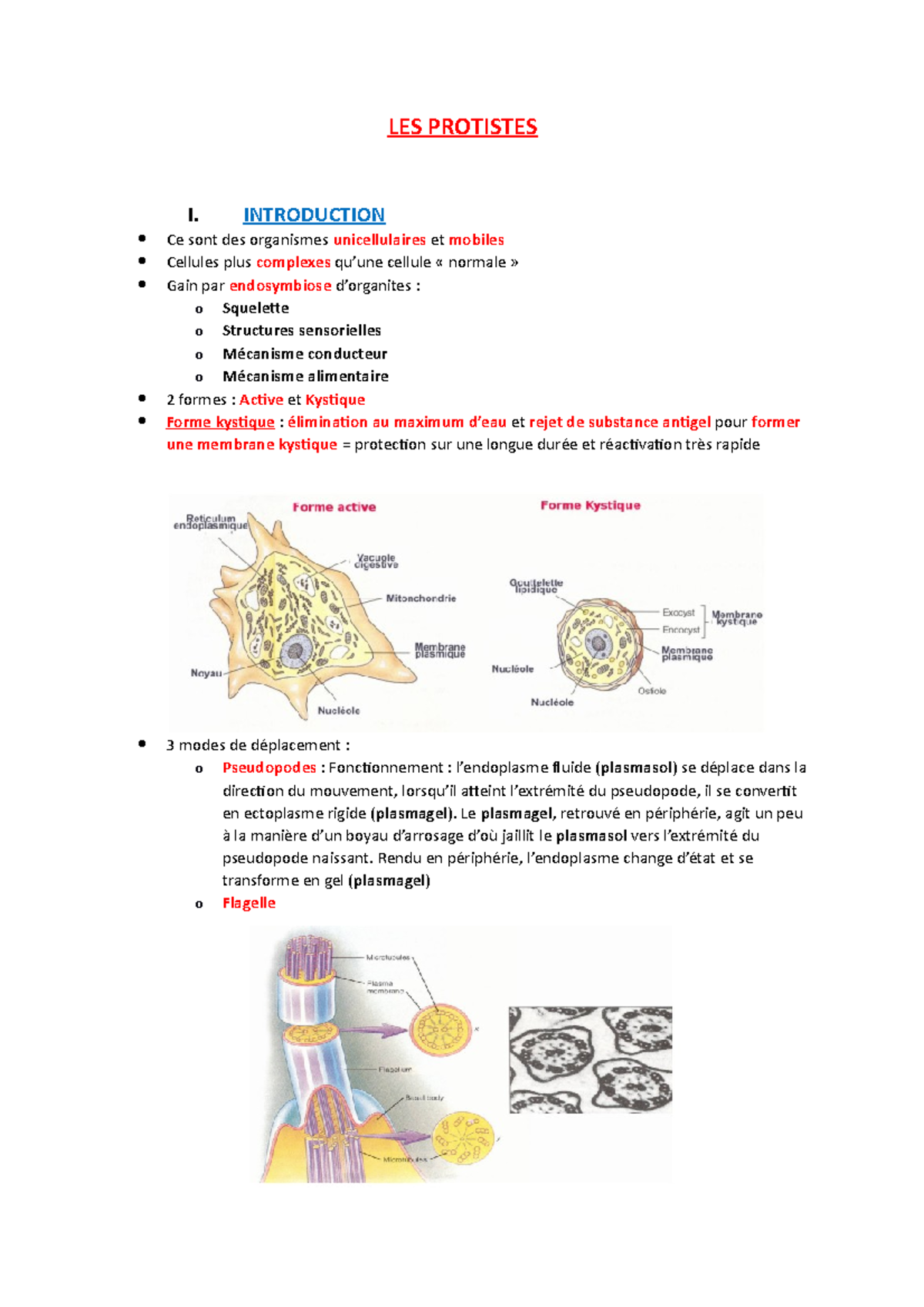 FR Protistes - Notes de cours 1 - LES PROTISTES I. INTRODUCTION Ce sont ...