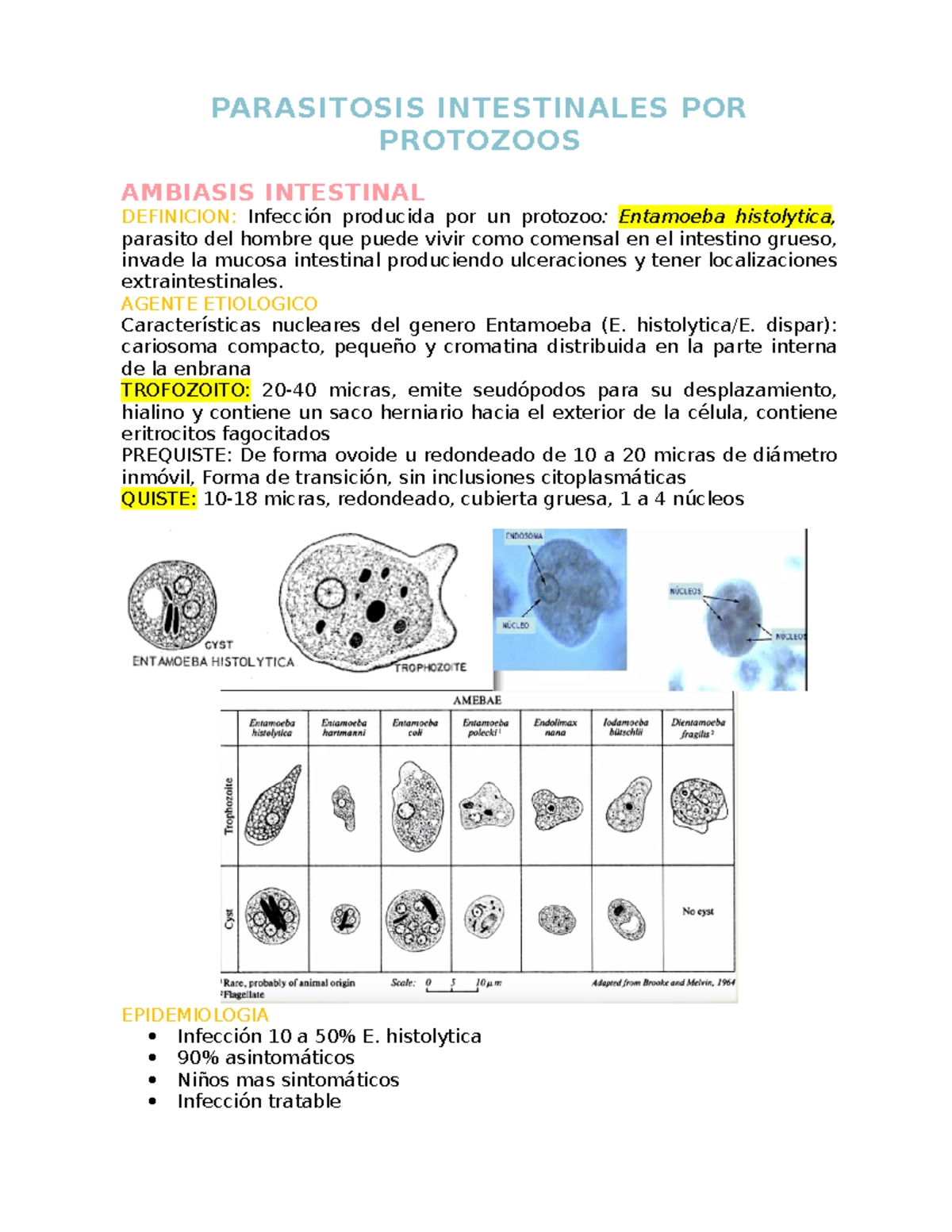 Parasitosis Intestinales POR Protozoos - PARASITOSIS INTESTINALES POR ...